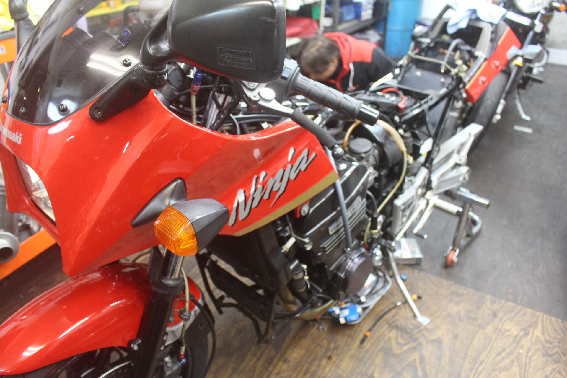 久しぶりの忍者君でしたが・・・ | DELL-SARA